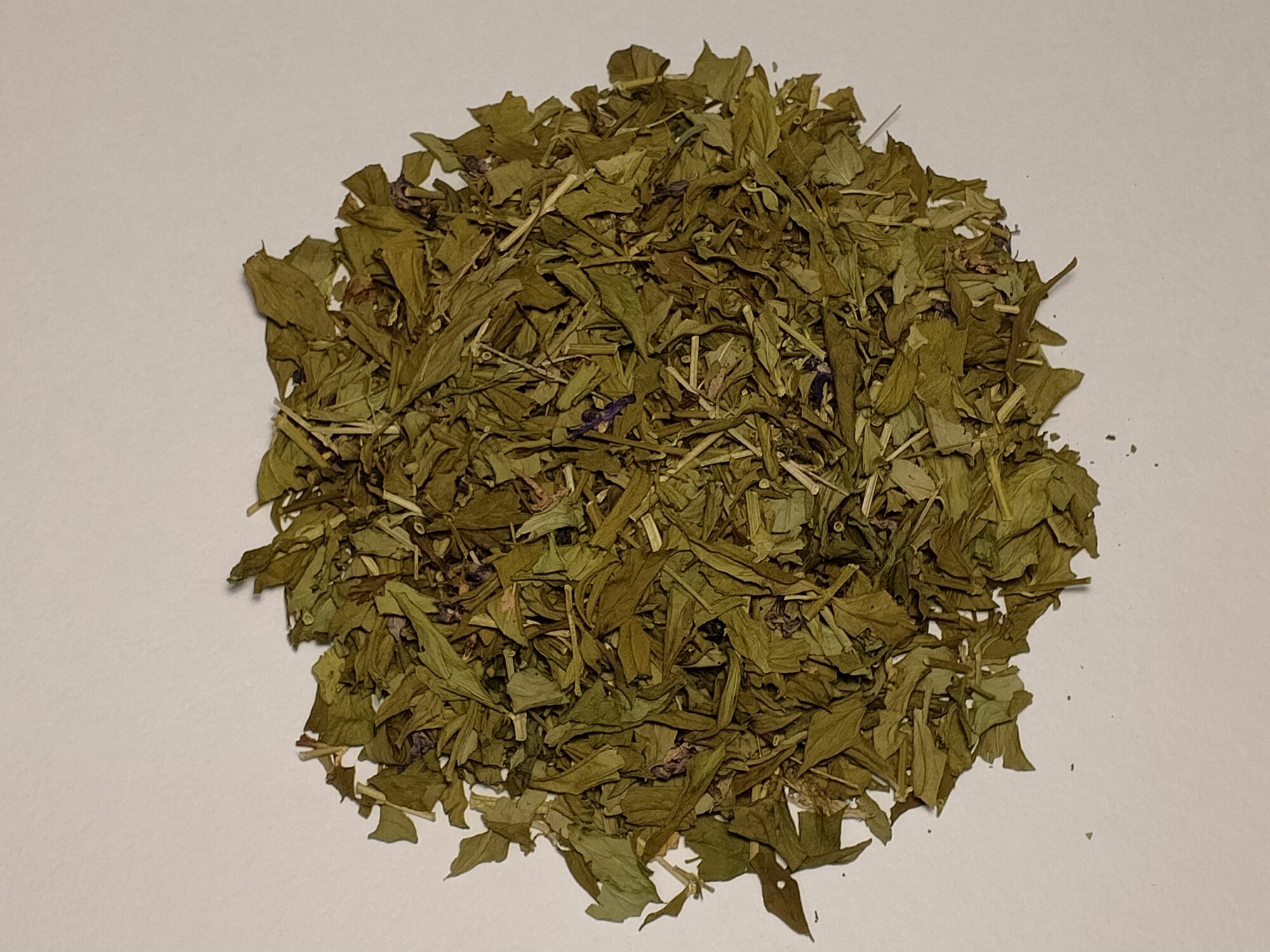 Барвинок (трава)