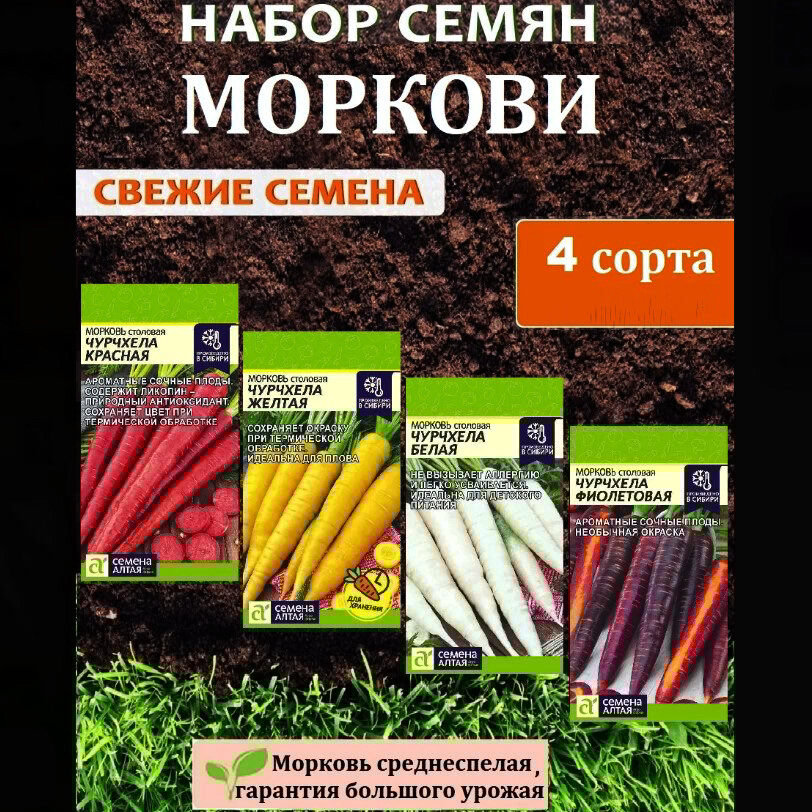 Семена Моркови "Чурчхела" - Желтая, Фиолетовая, Красная и Белая