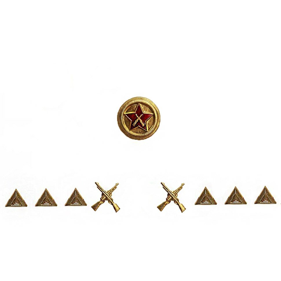 Комплект знаков различия старший сержант вохр
