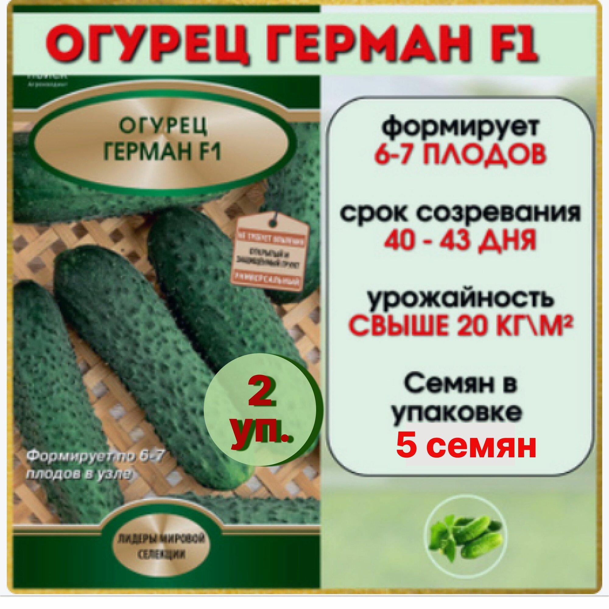 Семена Огурец герман F1 (2 уп. по 5сем.)