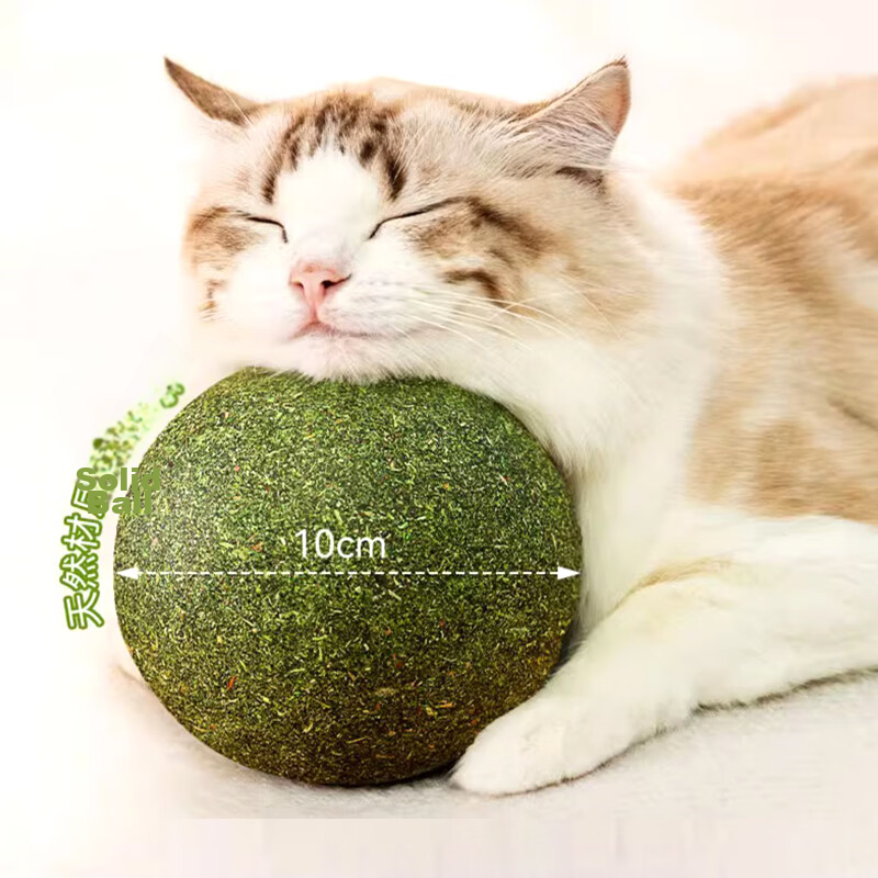 Crazy Cat Owner's Toy, Catnip Ball, Extra Large Self-Entertaining Boredom Relief Device, Complete Cat Supplies Set, Cat Teaser Stick