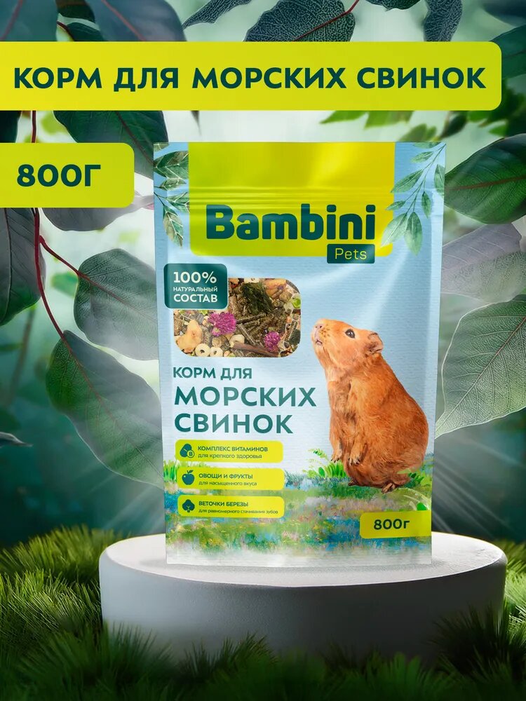 Сбалансированный повседневный корм Bambini Pets для морских свинок, 800 гр
