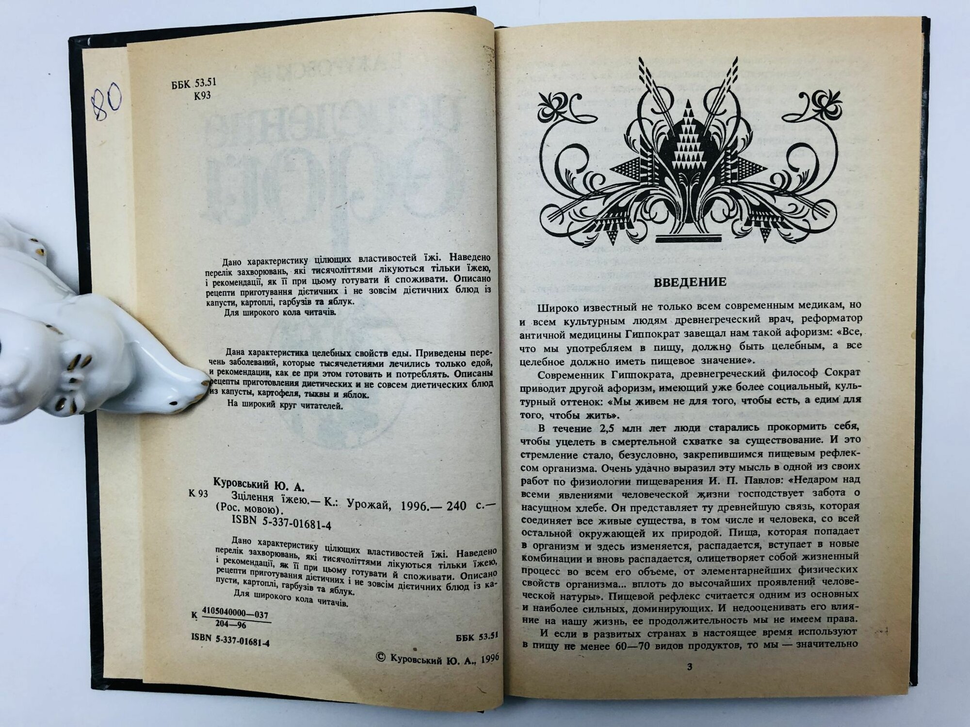 Исцеление едой — фото 1