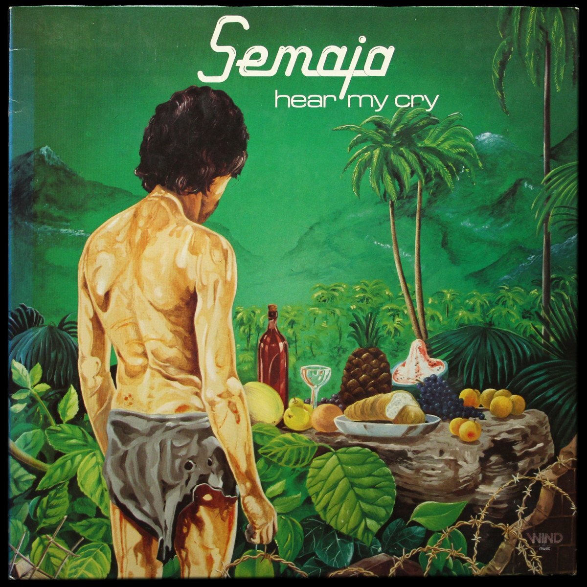 Виниловая пластинка Wind Semaja – Hear My Cry