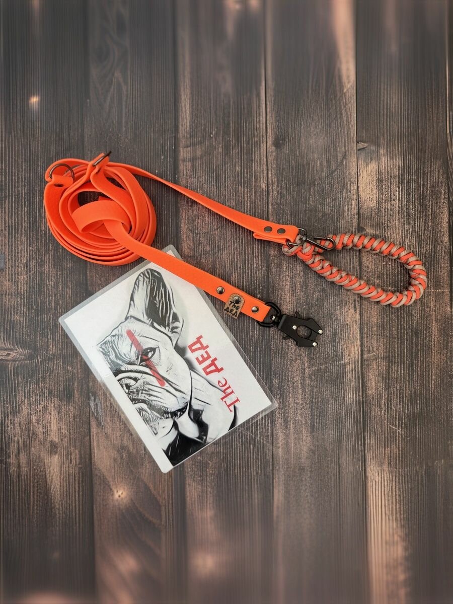 Поводок-перестежка для собак "The ДЕД" 2.5 м, оранжевый, биотан, паракорд, ручная работа, для дрессировки