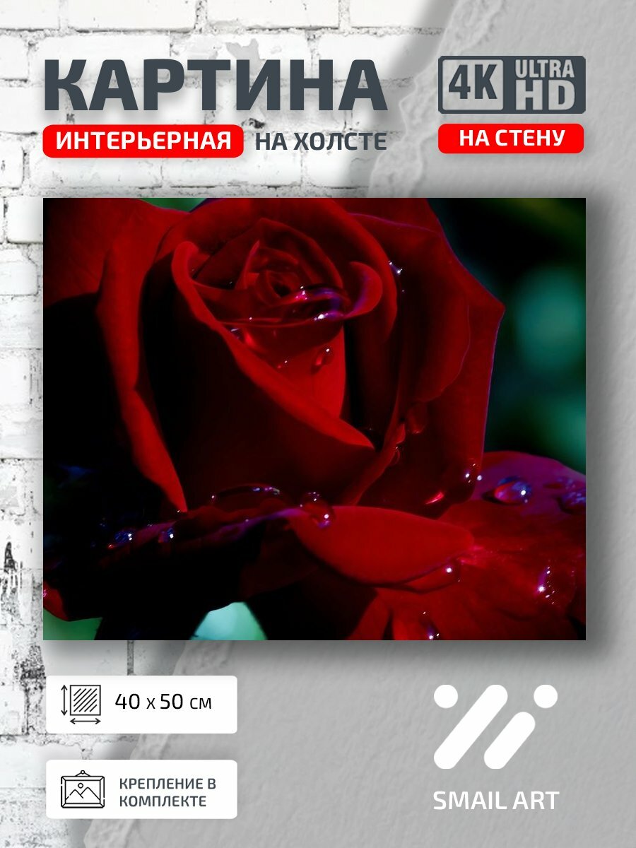 Картина на холсте интерьерная 40 на 50 на стену Бордовая Mood для студии атмосфера интерьер