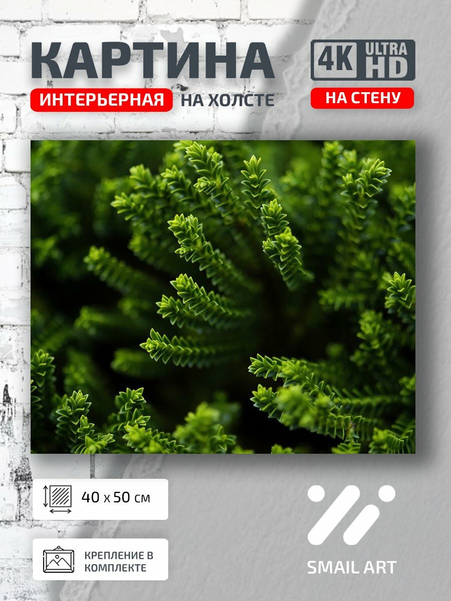 Картина на холсте интерьерная 40 на 50 на стену Зелень Landscape для офиса пейзаж интерьер