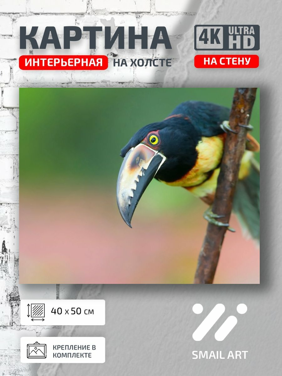 Картина на холсте интерьерная 40 на 50 на стену Птица Landscape для кафе пейзаж интерьер