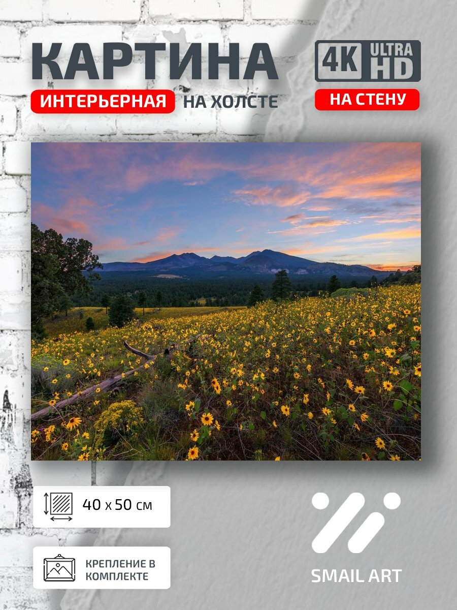 Картина на холсте интерьерная 40 на 50 на стену Поляна Landscape для кабинета пейзаж декор