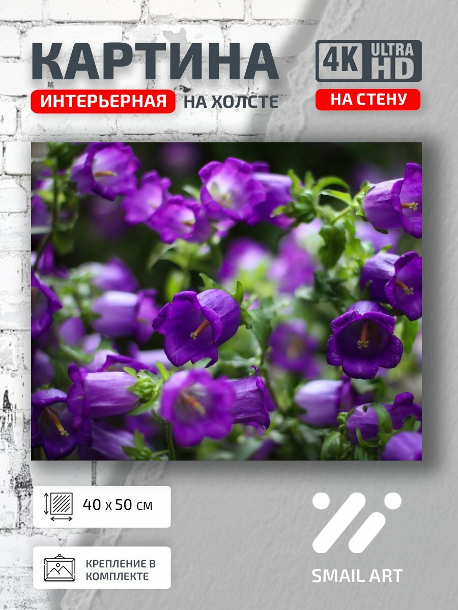 Картина на холсте интерьерная 40 на 50 на стену Колокольчики Landscape для офиса пейзаж