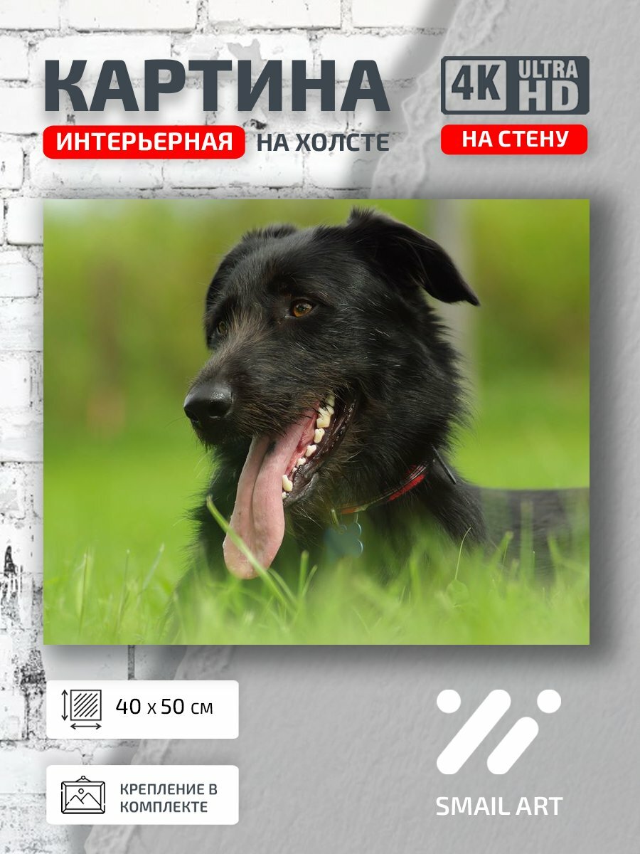 Картина на холсте интерьерная 40 на 50 на стену Траве Animal для гостиной animal style