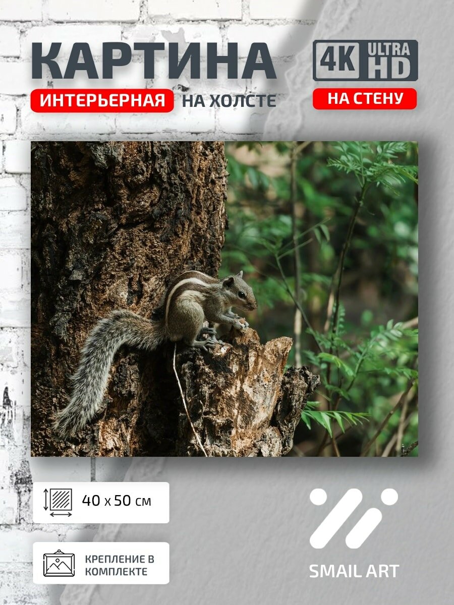 Картина на холсте интерьерная 40 на 50 на стену Животные Бурундук для гостиной атмосфера
