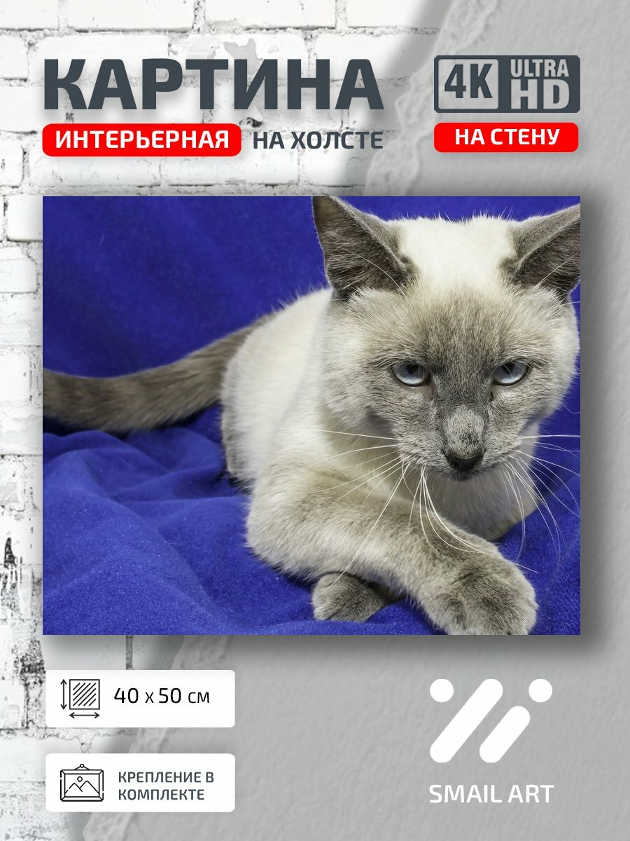 Картина на холсте интерьерная 40 на 50 на стену Серо-белый Animal для гостиной animal style