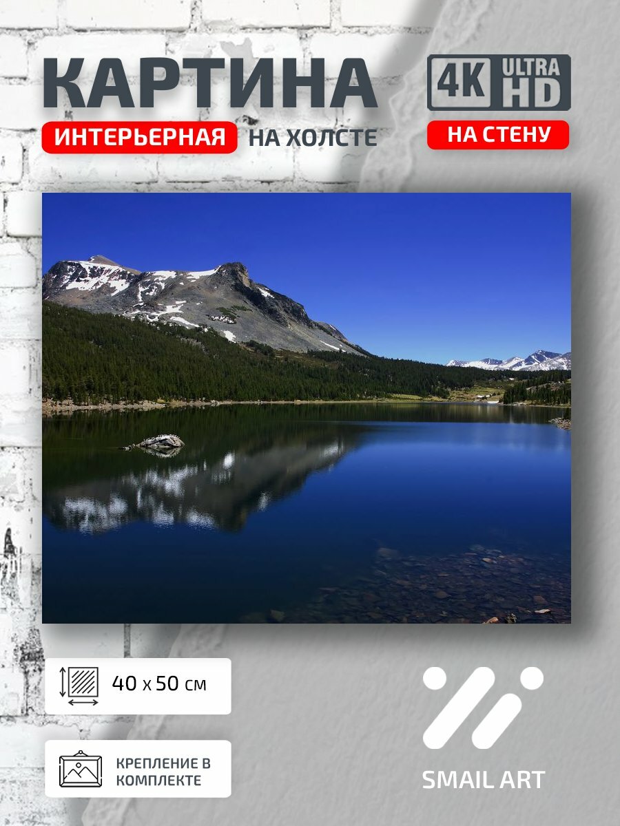 Картина на холсте интерьерная 40 на 50 на стену Деревья Landscape для кафе пейзаж интерьер