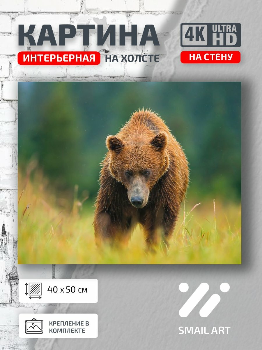 Картина на холсте интерьерная 40 на 50 на стену Трава Animal для кабинета animal style