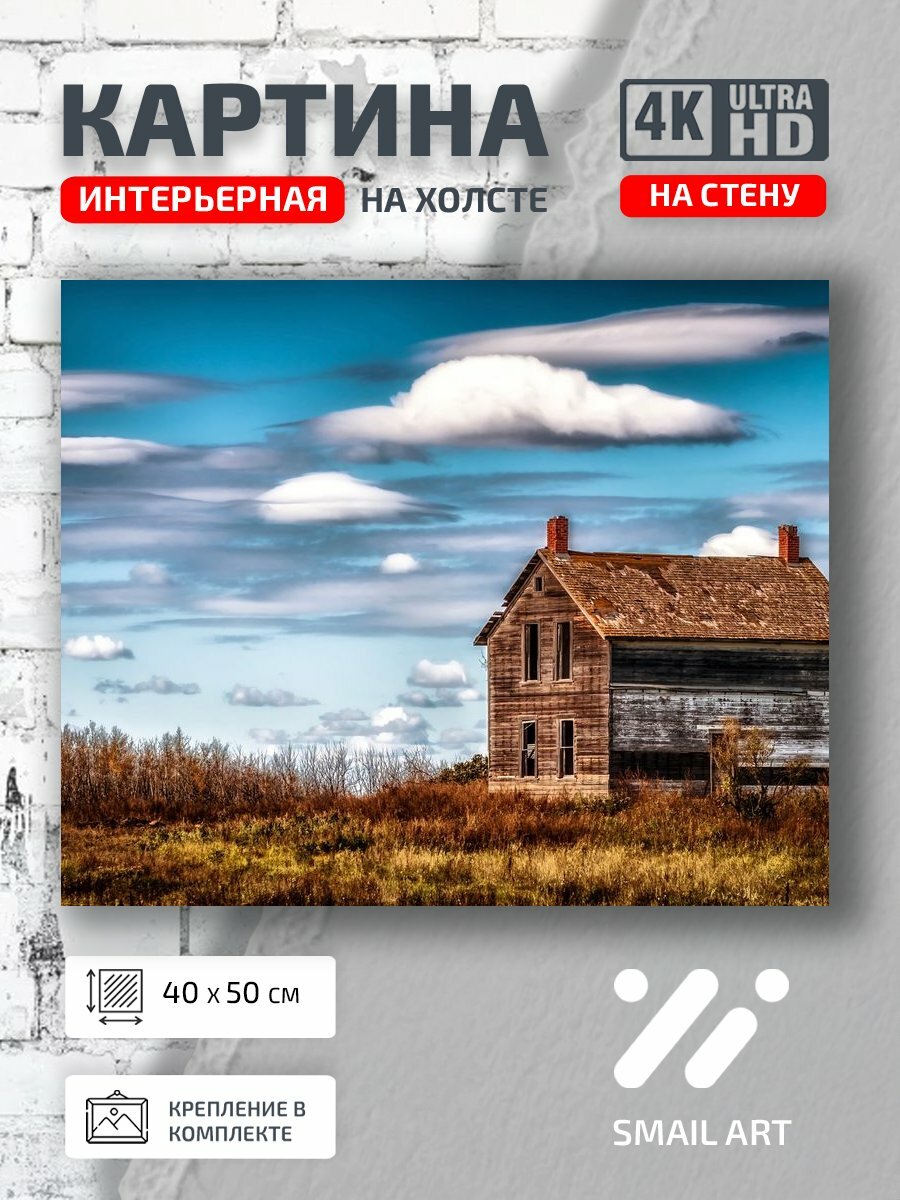 Картина на холсте интерьерная 40 на 50 на стену Бурьян Landscape для офиса пейзаж интерьер