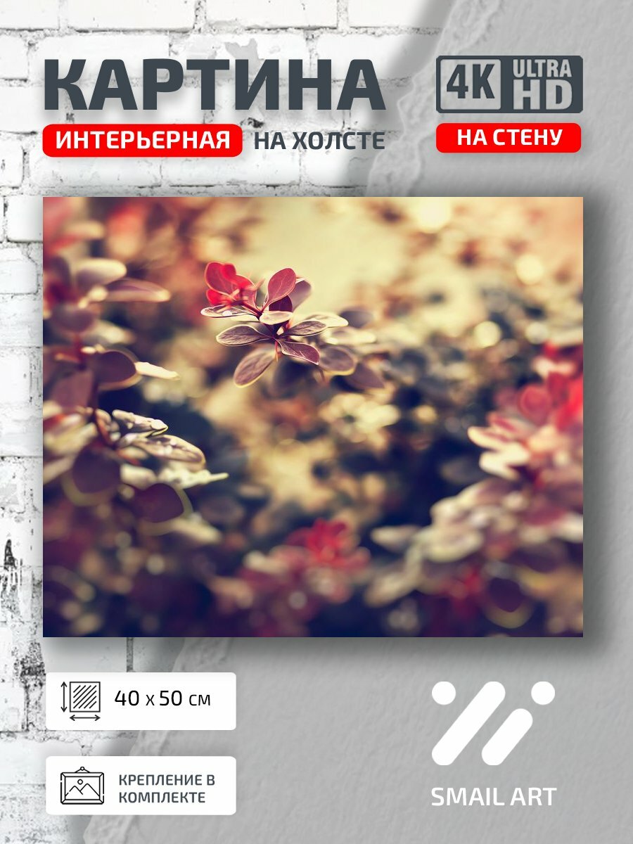 Картина на холсте интерьерная 40 на 50 на стену Ветки Macro для офиса макро интерьер декор