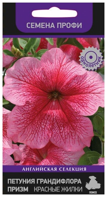 Семена поиск Профи Петуния грандифлора Призм Красные Жилки 30 шт.
