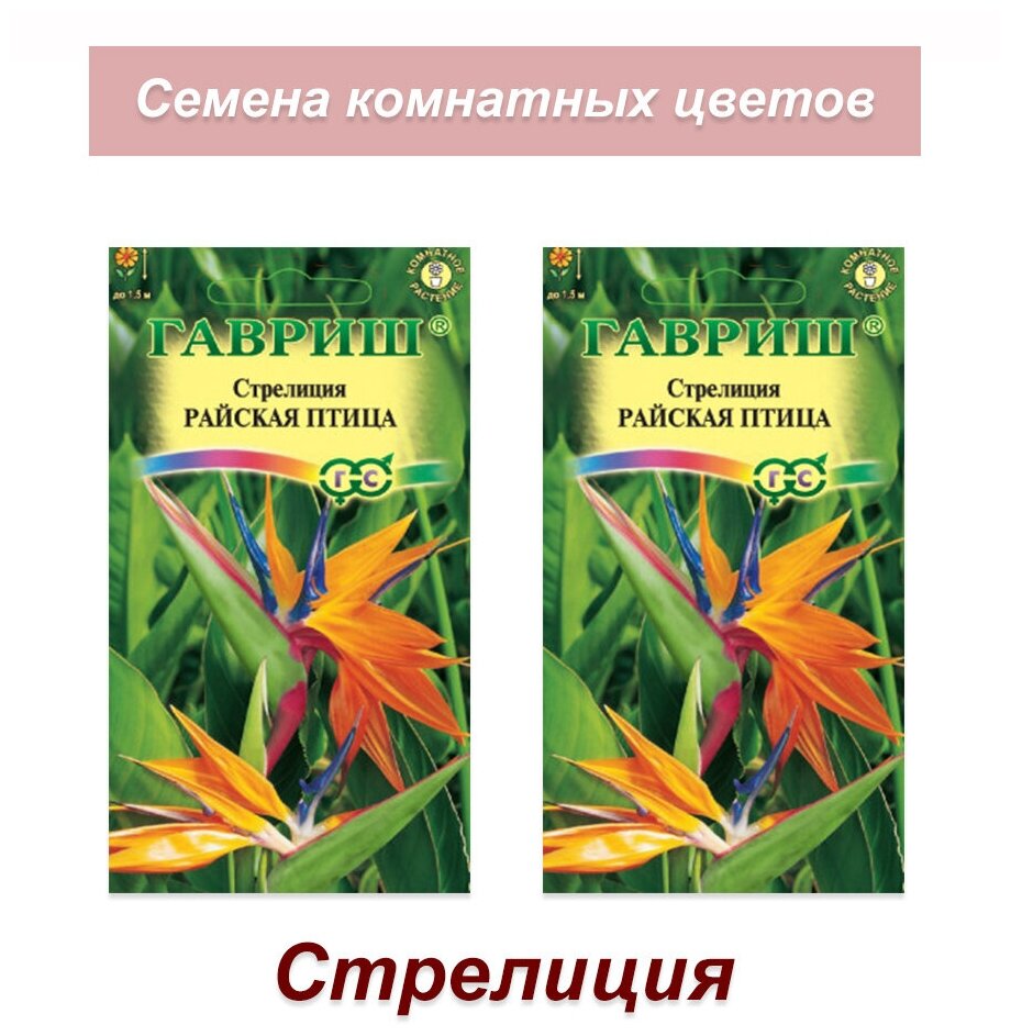 Набор семян, семена комнатных цветов Стрелиция, 2 шт