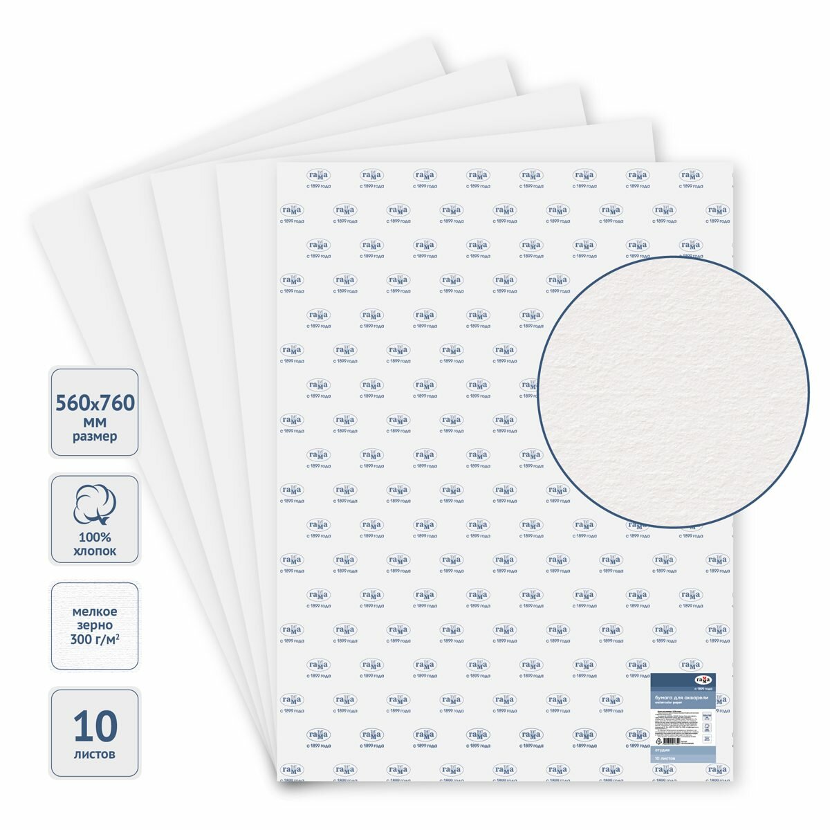 Бумага для акварели 560x760мм, 10л Гамма "Студия" (300 г/кв. м, мелкое зерно, 100% хлопок) (25C00L810W30FG), 8шт.