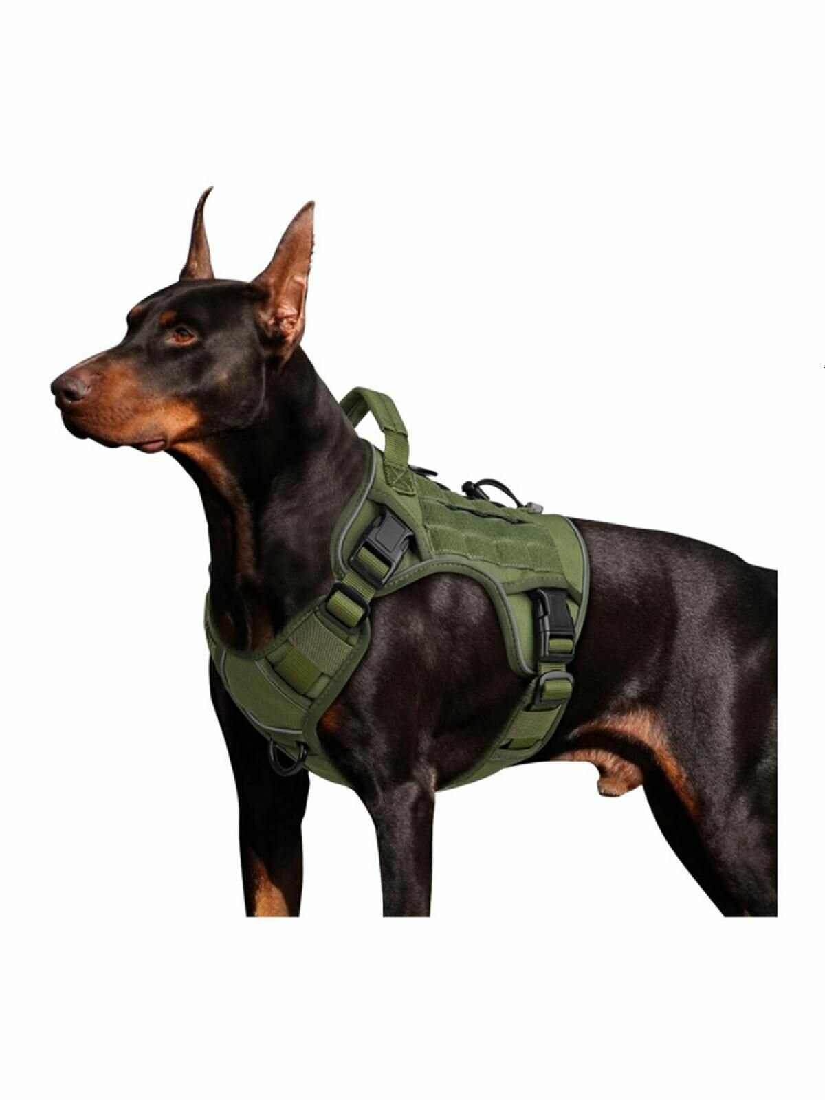 Фурнитура для ошейников и поводков, Вытяжение груди и спины для домашних животных-зеленый-L