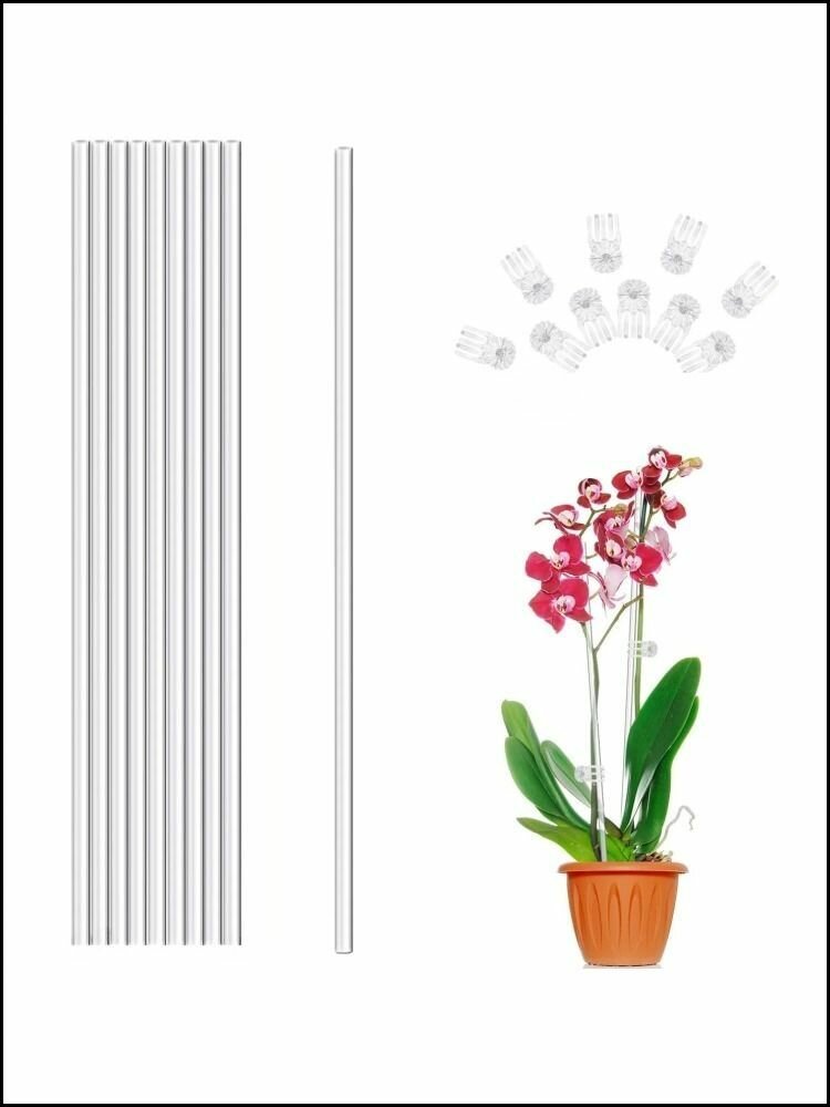 Эксклюзивная подставка для цветов прозрачная