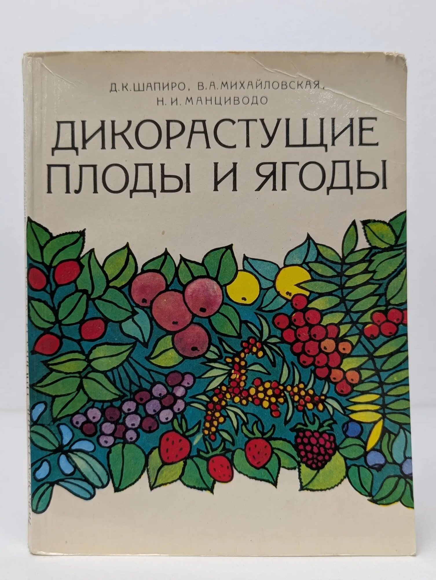 Дикорастущие плоды и ягоды Михайловская Вера Арсентьевна, Манциводо Неонила Ильинична, Шапиро Давид Копелевич 1981