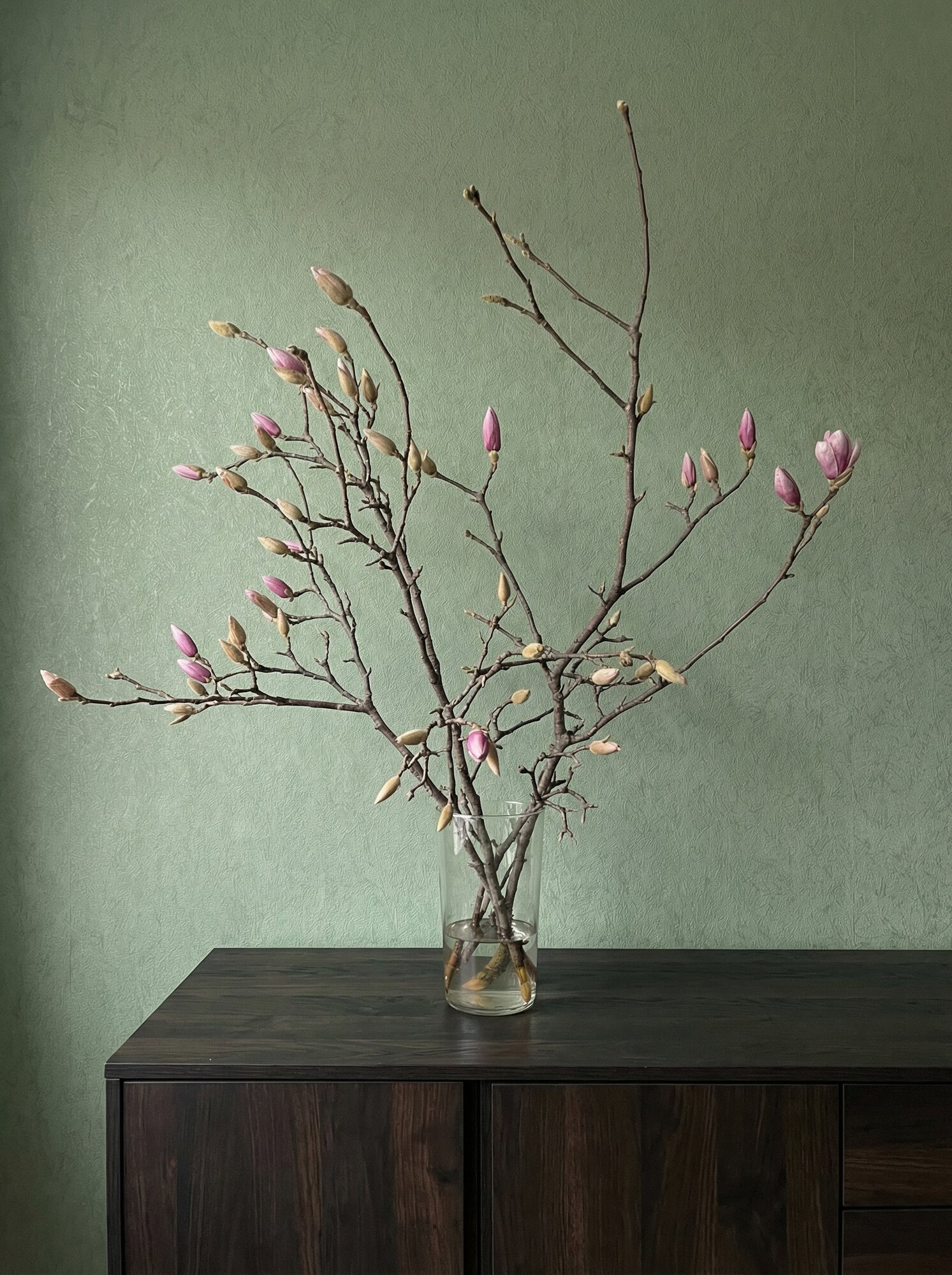 Магнолия ветка живая 3 шт — цветущая магнолия, премиум, доставка по Москве