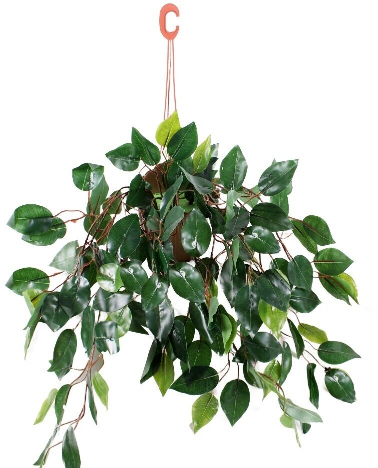 Искусственные свисающие кусты в подвесном кашпо от бренда Holodilova