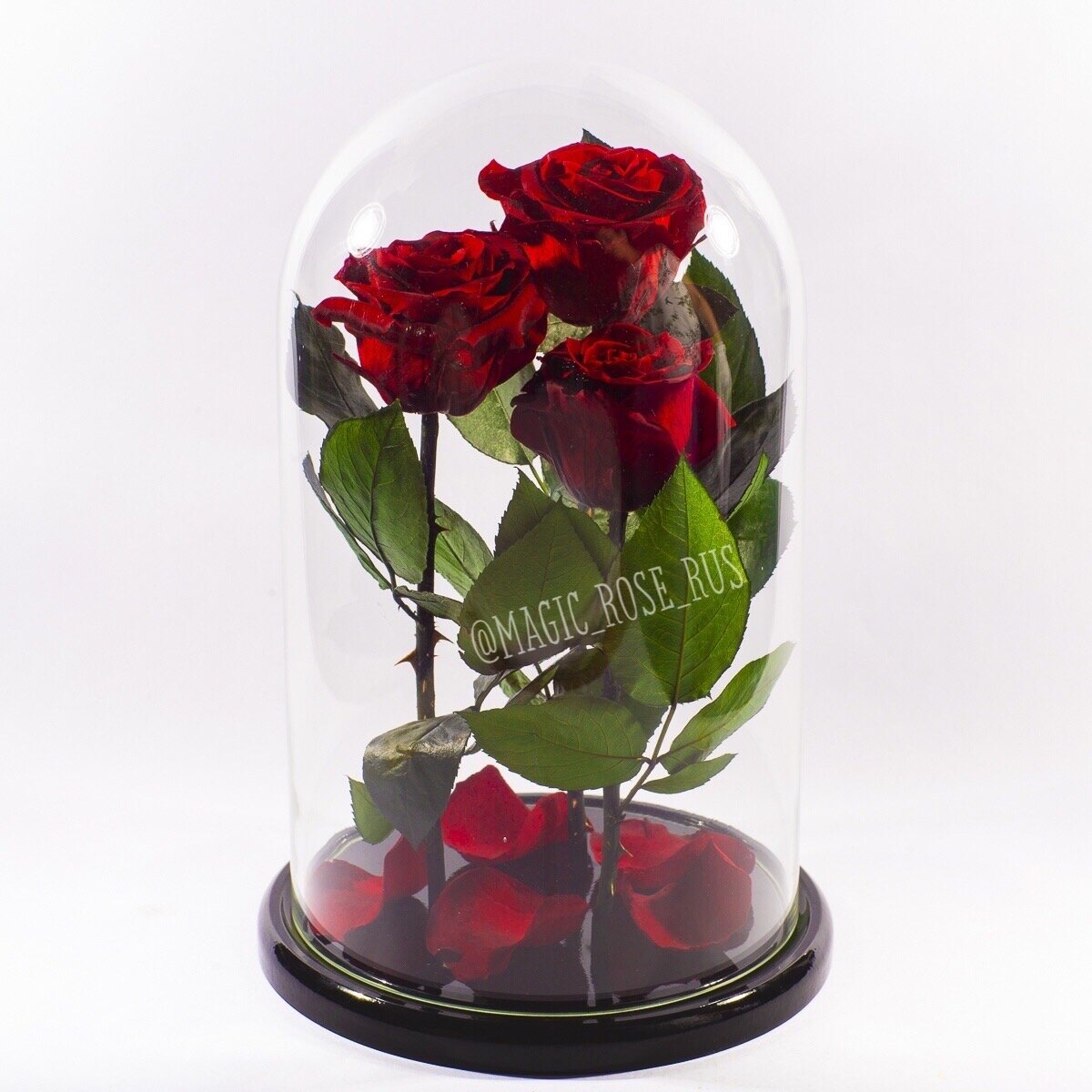 Бордовая трио "VIP" из роз в колбе с подарочной коробкой с вау-эффектом/ 32 см Живет 5 лет