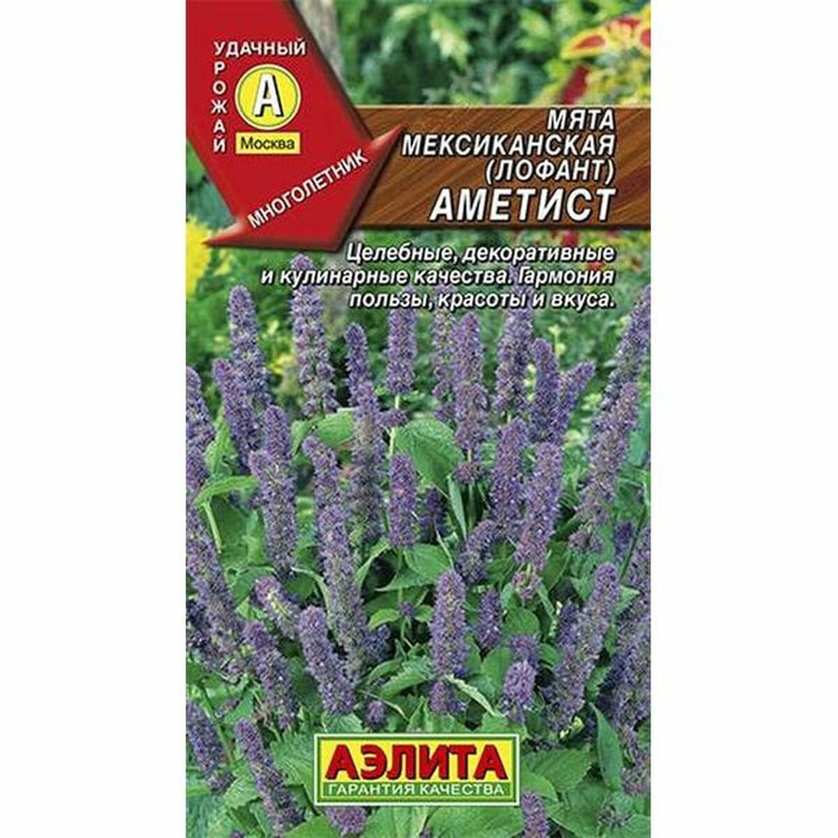 Семена Мята Мексиканская Аметист, Аэлита, 1 пачка - 0.05г семян