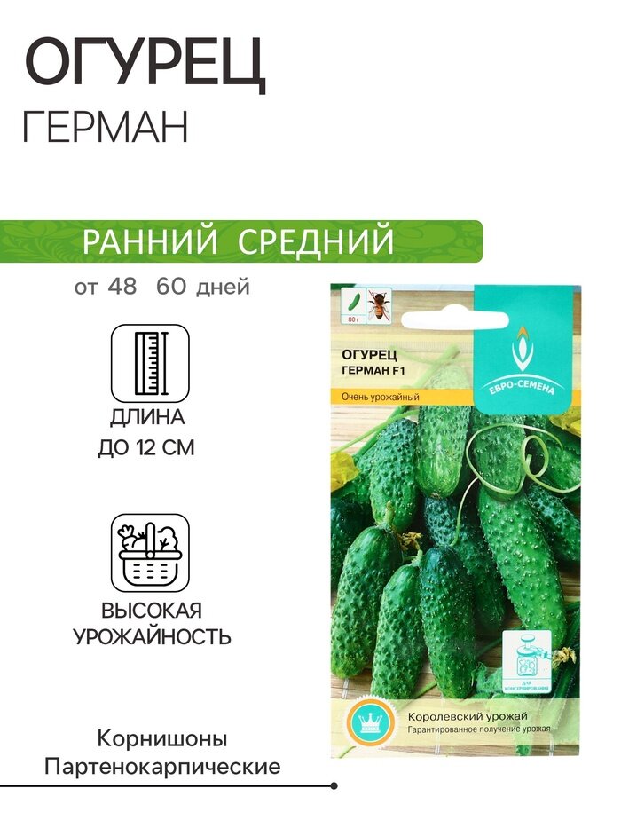 Семена огурца «Герман», F1, 8 шт, «Евросемена»