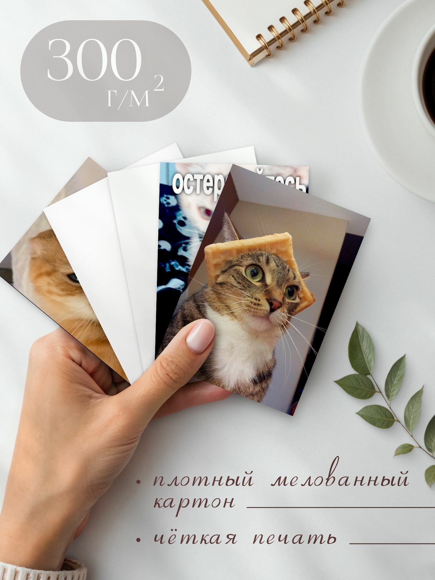 Открытки мини котики мем — фото 1