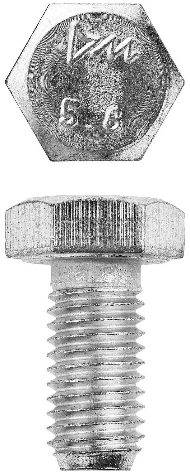 Болт с шестигранной головкой ГОСТ 7798-70 M10x25 мм 5 кг Зубр 303080-10-025