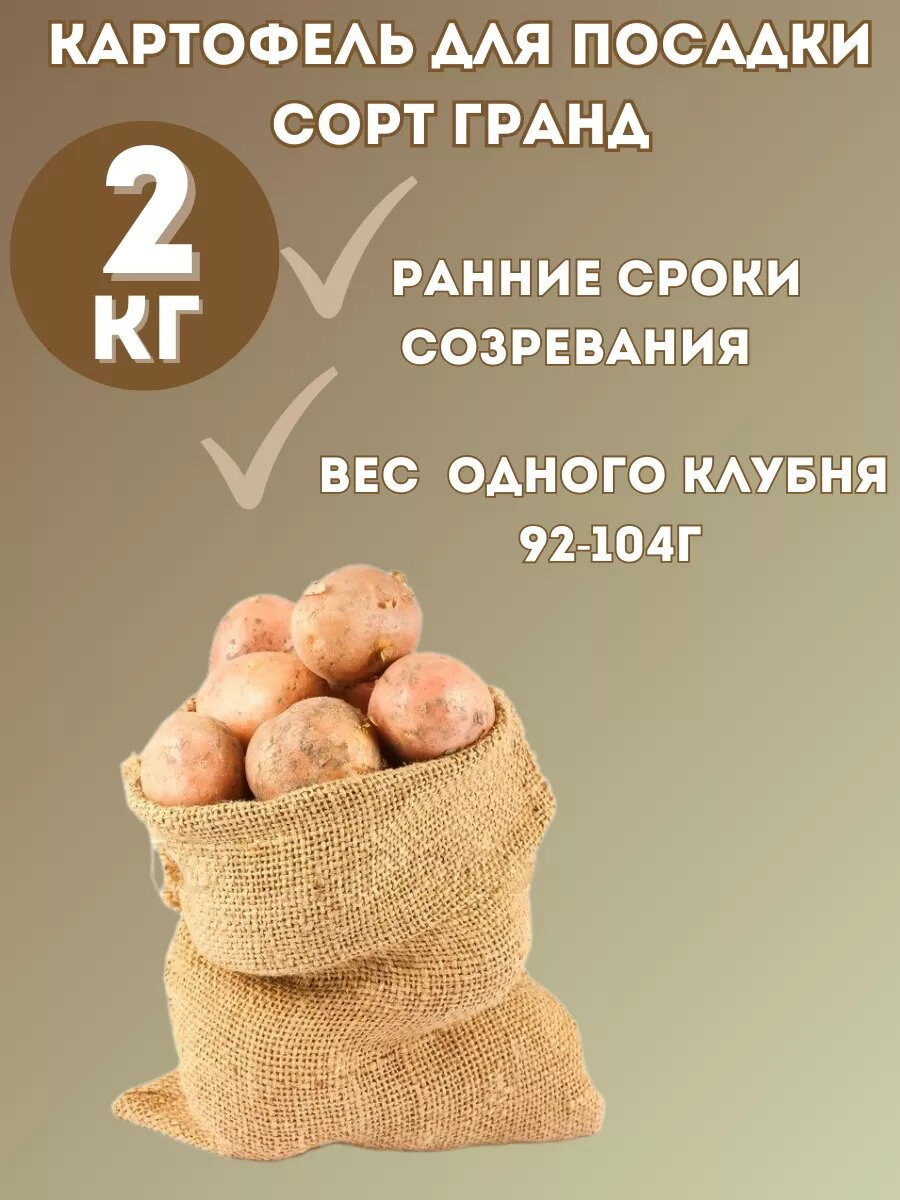 ОгородNIK Семена картофеля "Гранд", среднеспелые, лежкие, 2 кг