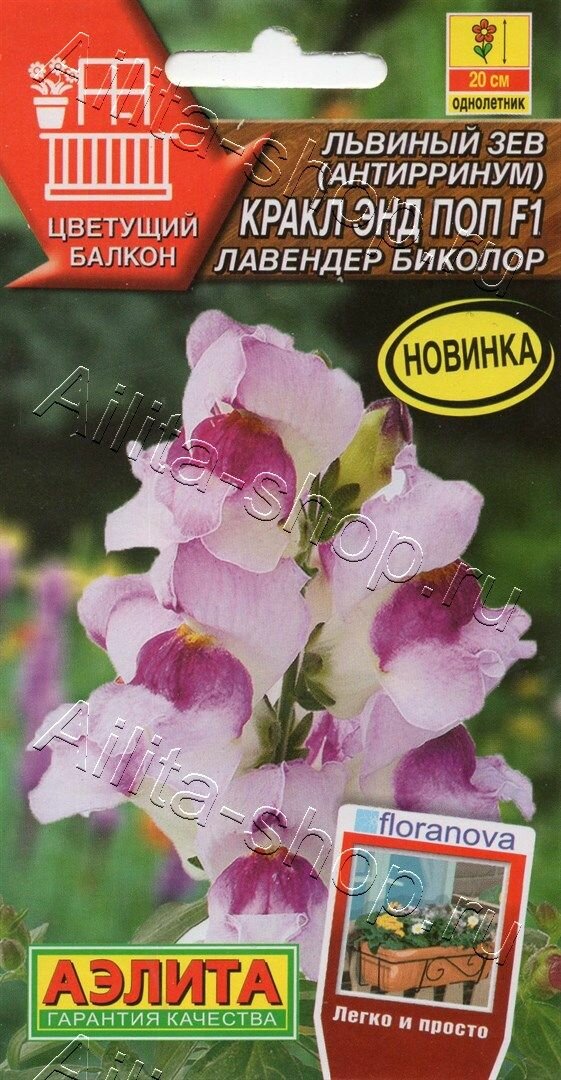 Львиный зев (антирринум) Кракл Энд Поп Лавендер биколор F1. семена ( 3 упаковки )