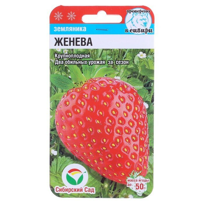 Семена Клубника 'Женева', 10 шт