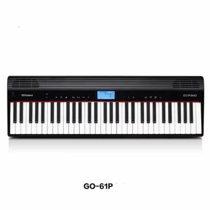 Roland цифровое пианино Roland GO-61P маленькое портативное на 61 клавишу