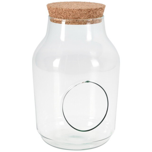 Стеклянная колба-флорариум Ronnie 25*14 см, Koopman, DS3000180