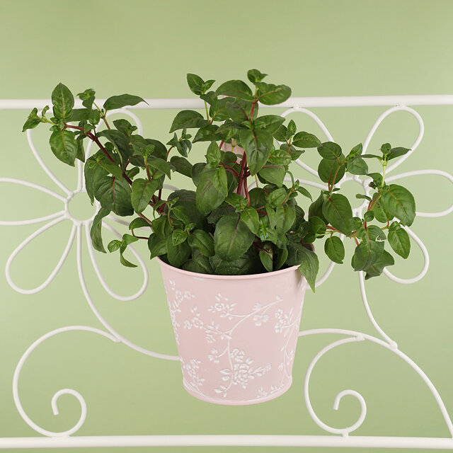 Подвесное кашпо-ведерко для балкона Амальфи 14 см розовое, металл, Kaemingk, 802313-2