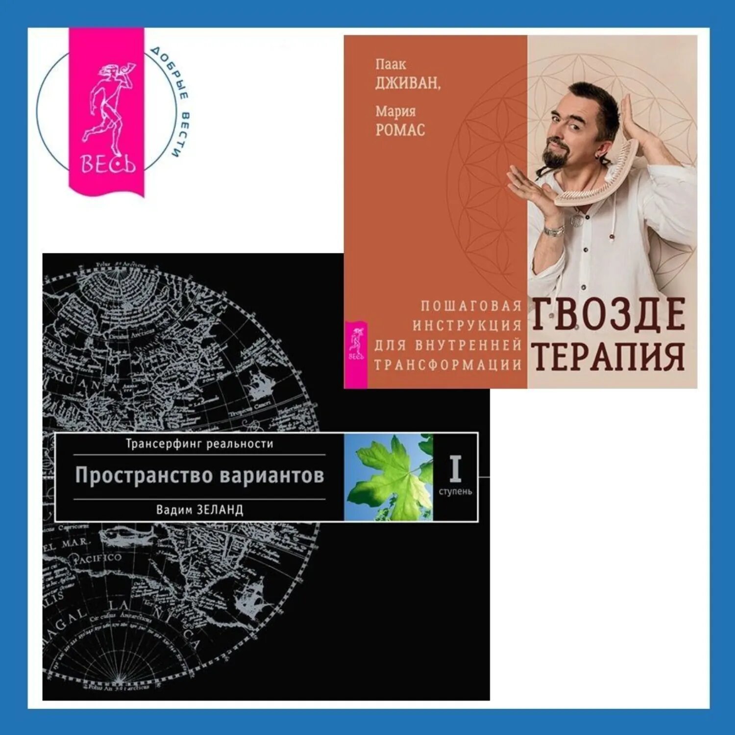 Гвоздетерапия: Пошаговая инструкция для внутренней трансформации. Трансерфинг реальности. Ступень I: Пространство вариантов [Аудиокнига]