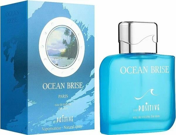 Туалетная вода Art Positive "Ocean Brise", древесная, мужская, 100мл