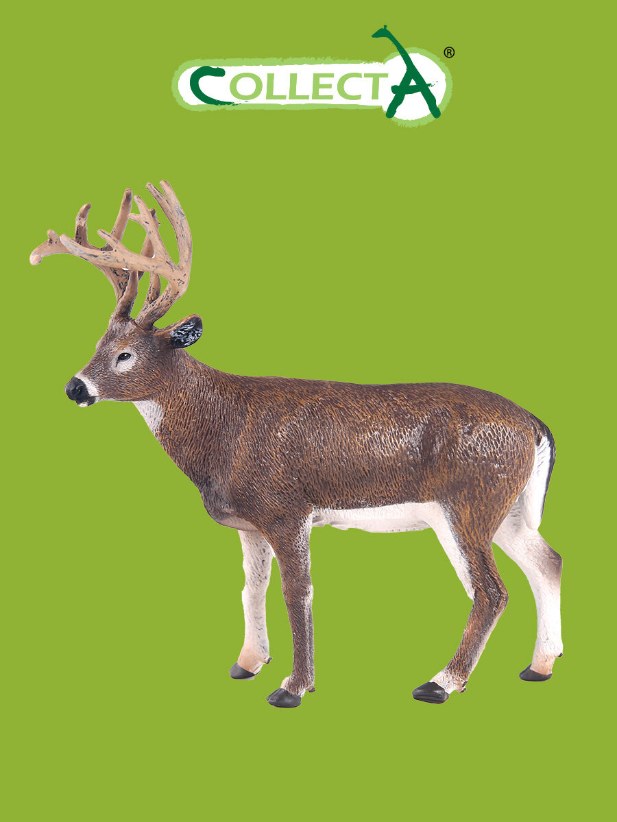 Фигурка животного Collecta, Олень белохвостый, высота 9,2 см, 88832b