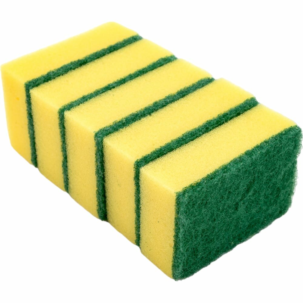 Губки для посуды Paclan Practi Universal 5 шт 42598413 4610015984132