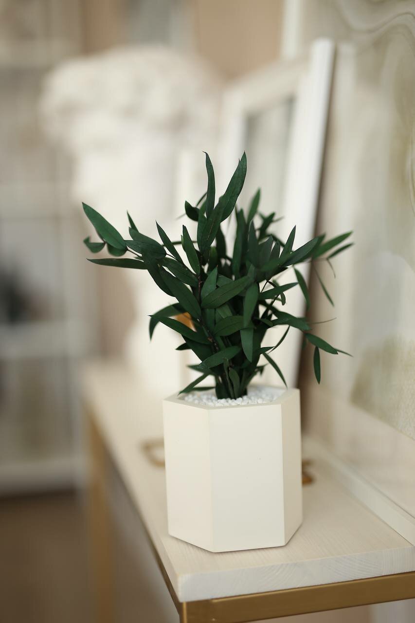 Кашпо из гипса