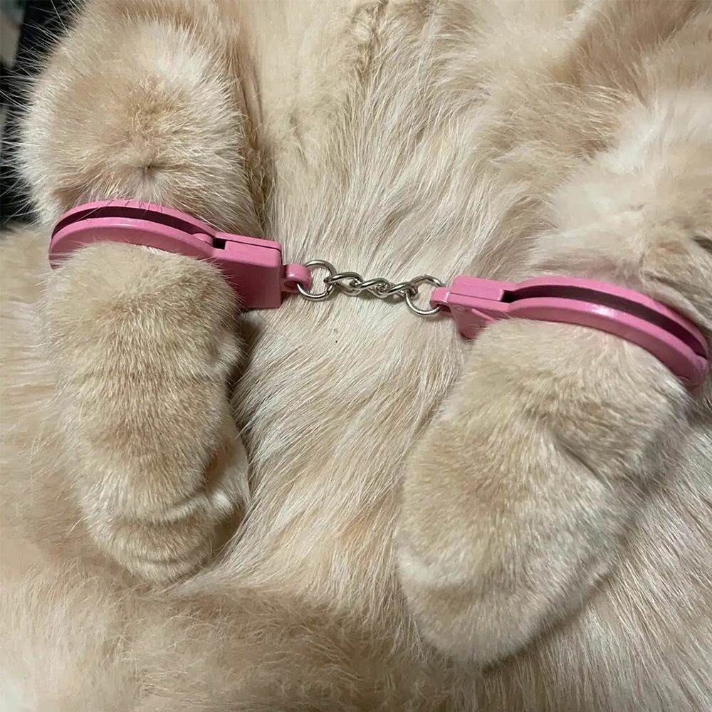 Игрушка для животных — фото 1