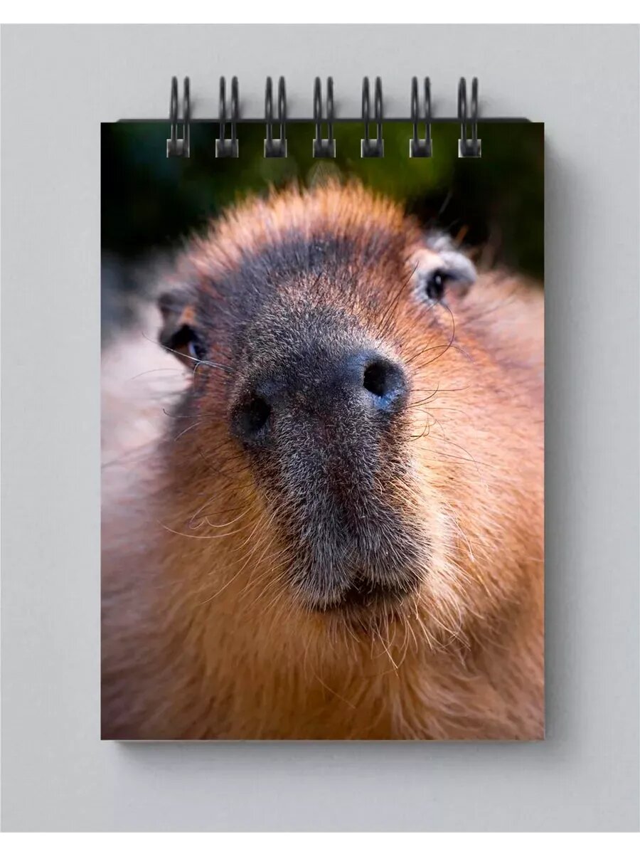 Блокнот Капибара, А4