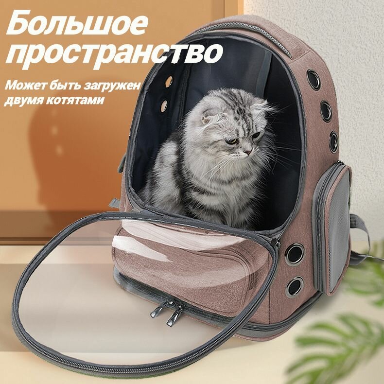 Переноска Эксклюзивно