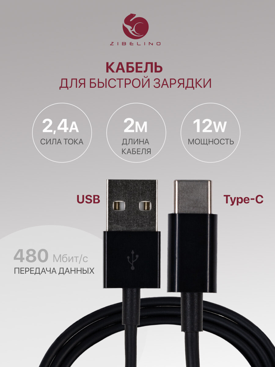 Кабель USB Typec, 2 метра, черный, 12W, 2,4A / кабель для быстрой зарядки и передачи данных Тайп си