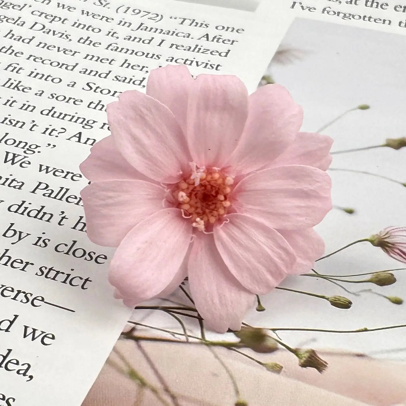 Консервированные цветы Гольфир, набор из 12 штук Розовый, Light Pink